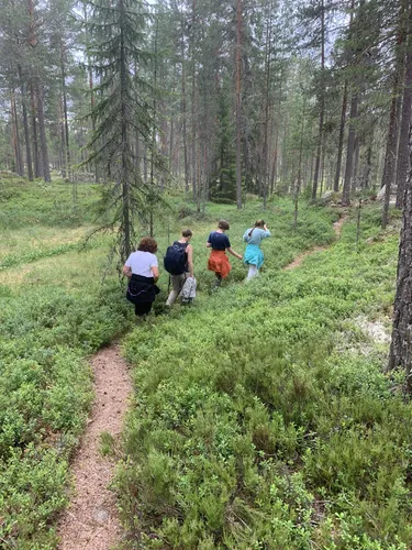 Best Camping Trails in Venjan | AllTrails