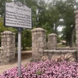 Duke Wall, North Carolina - 384 Reviews, Map | AllTrails