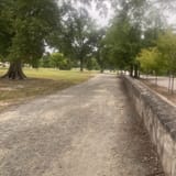 Duke Wall, North Carolina - 384 Reviews, Map | AllTrails