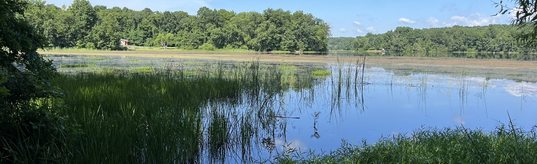Gravel and Lakeside Trail Loop: 213 Reviews, Map - Pennsylvania | AllTrails