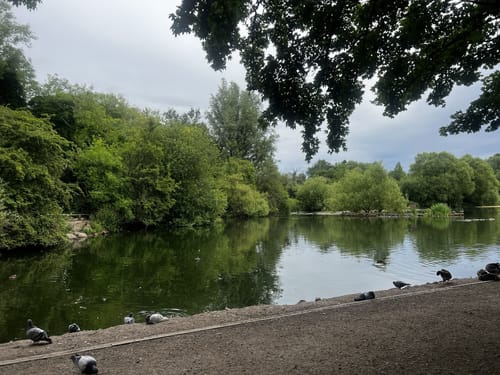 2023 Best River Trails in Reddish Vale Country Park | AllTrails
