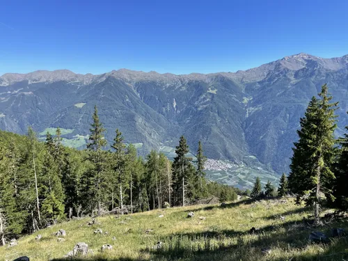 2023 Best Forest Trails in Latsch | AllTrails