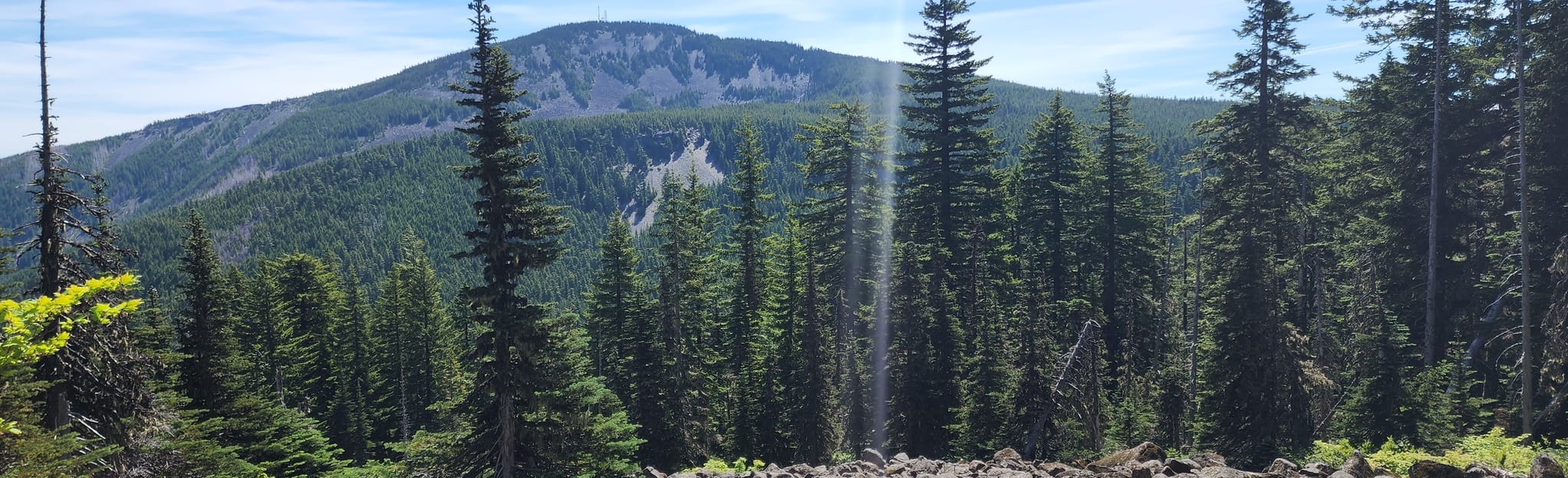 Wyeth Trail: 16 Reviews, Map - Oregon | AllTrails