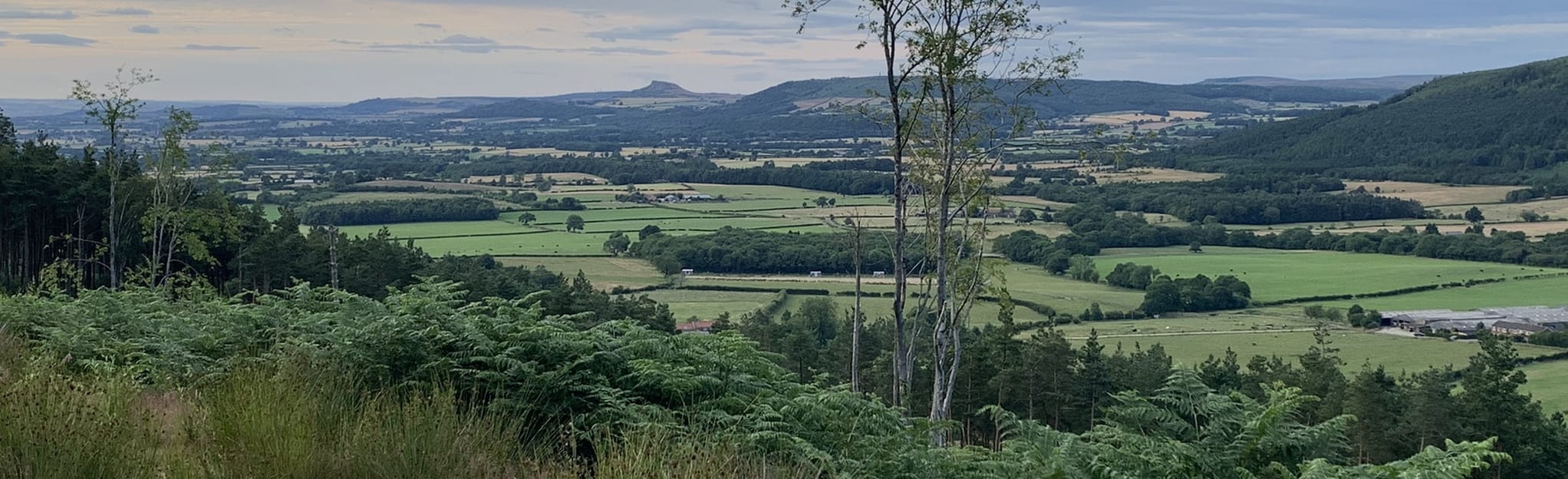 Clay Bank and Greenhow Bottom: 48 Reviews, Map - North Yorkshire ...