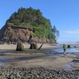 Proposal Rock, Oregon - 278 Reviews, Map | AllTrails