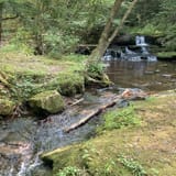 Black Forest North Loop Trail, Pennsylvania - 232 Reviews, Map | AllTrails