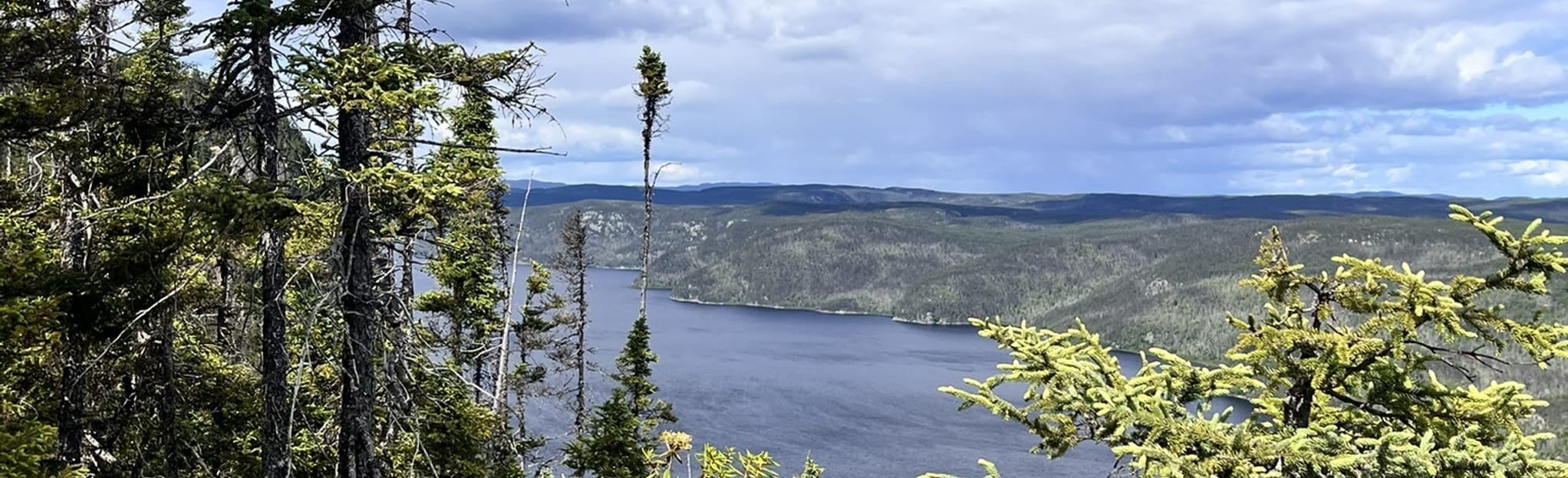 Fire Tower Trail, Quebec, Canada - 23 Reviews, Map | AllTrails