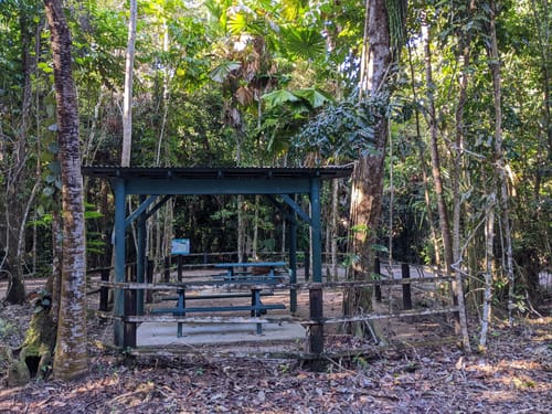 Best Hikes and Trails in Djiru National Park | AllTrails