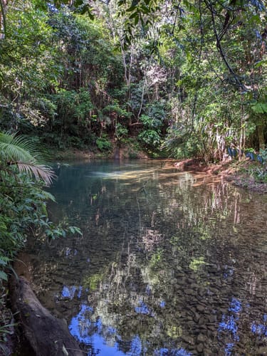 Best Hikes and Trails in Djiru National Park | AllTrails