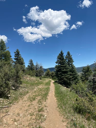 2023 Best 10 Trails and Hikes in Angel Fire | AllTrails