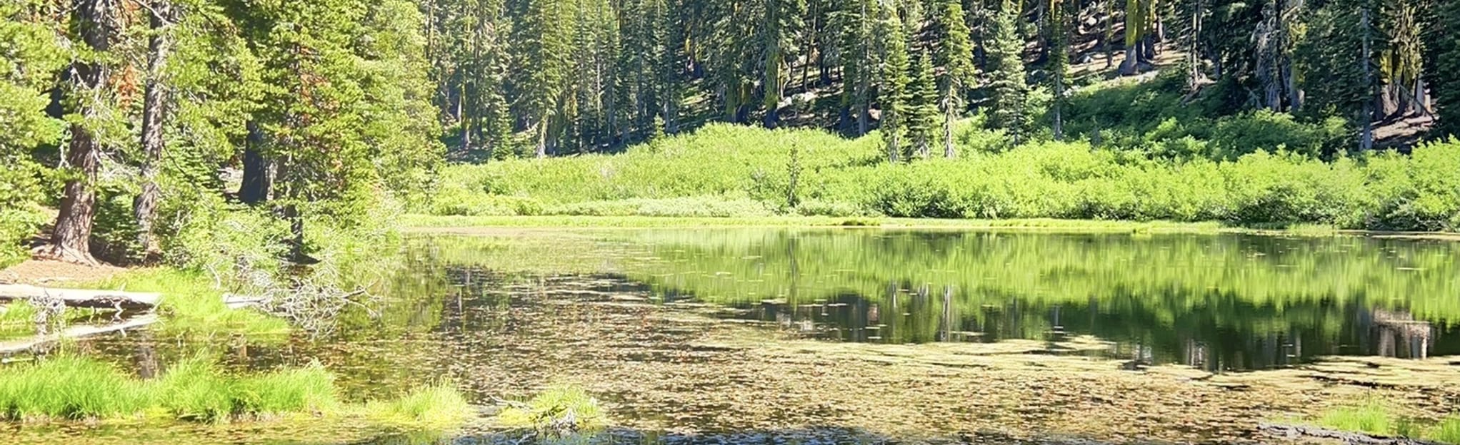 Carr, Feeley, Island, and Penner Lakes via Grouse Ridge Trail ...