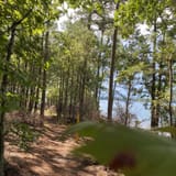 Bartram Trail: West Dam Recreation Area to Washington Road, South ...