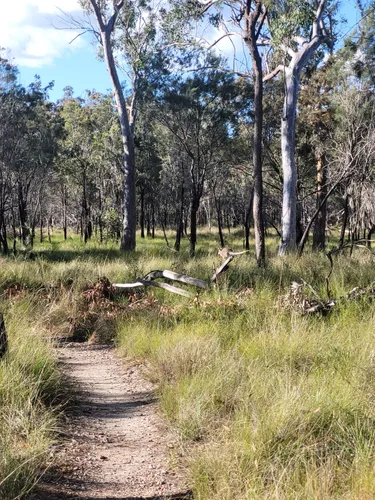 Best Hikes and Trails in Scribbly Gums Conservation Area | AllTrails