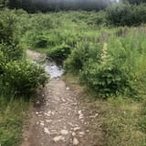 Carter Lake Trail, Alaska - 297 Reviews, Map | AllTrails