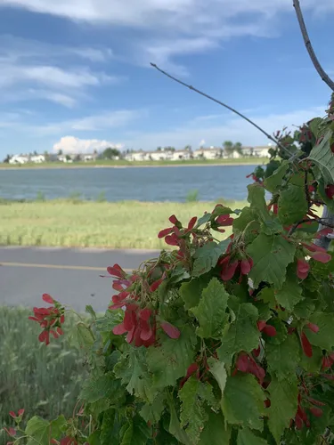 Best Walking Trails in Strathmore | AllTrails