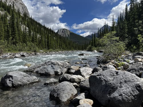2023 Best Hot Springs Trails in Jasper National Park | AllTrails