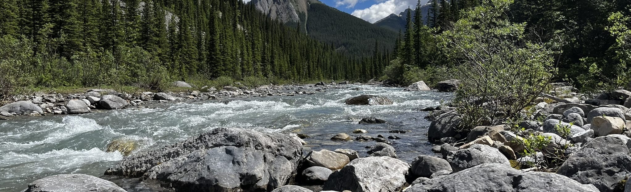 Fiddle River Trail: Miette to Utopia Creek: 26 Reviews, Map - Alberta ...