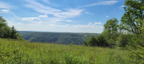 Best Hikes and Trails in Hyner View State Park | AllTrails