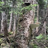 Mahoosuc Notch Loop via North Pond Road to Appalachian Trail, Maine ...