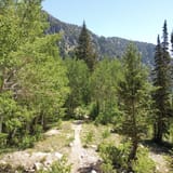 Pittsburg Lake Trail, Utah - 263 Reviews, Map | AllTrails