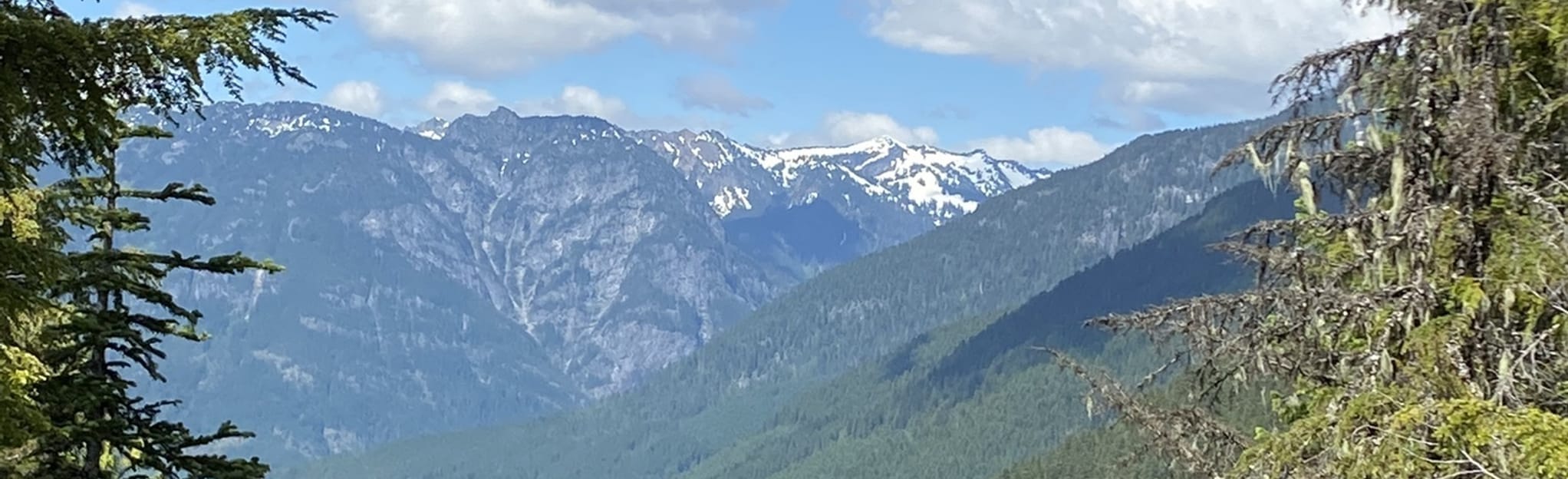 Barlow Point Trail: 180 Reviews, Map - Washington | AllTrails