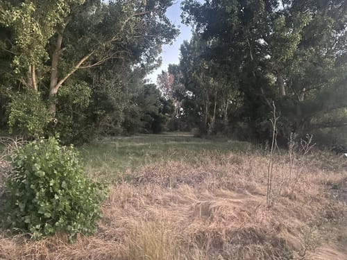 Best Hikes and Trails in Los Banos Wildlife Area | AllTrails Best Hikes and Trails in Los Banos Wildlife Area | AllTrails