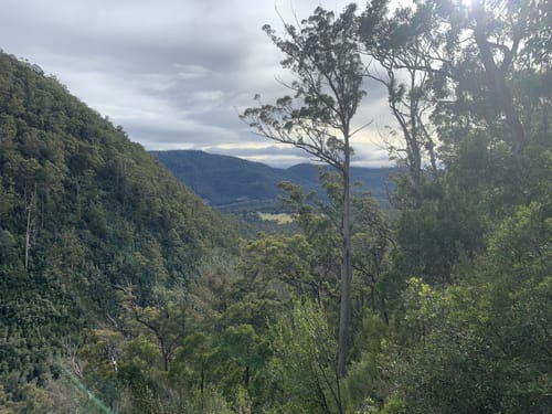 Best trails in Snug Tiers Nature Recreation Area | AllTrails