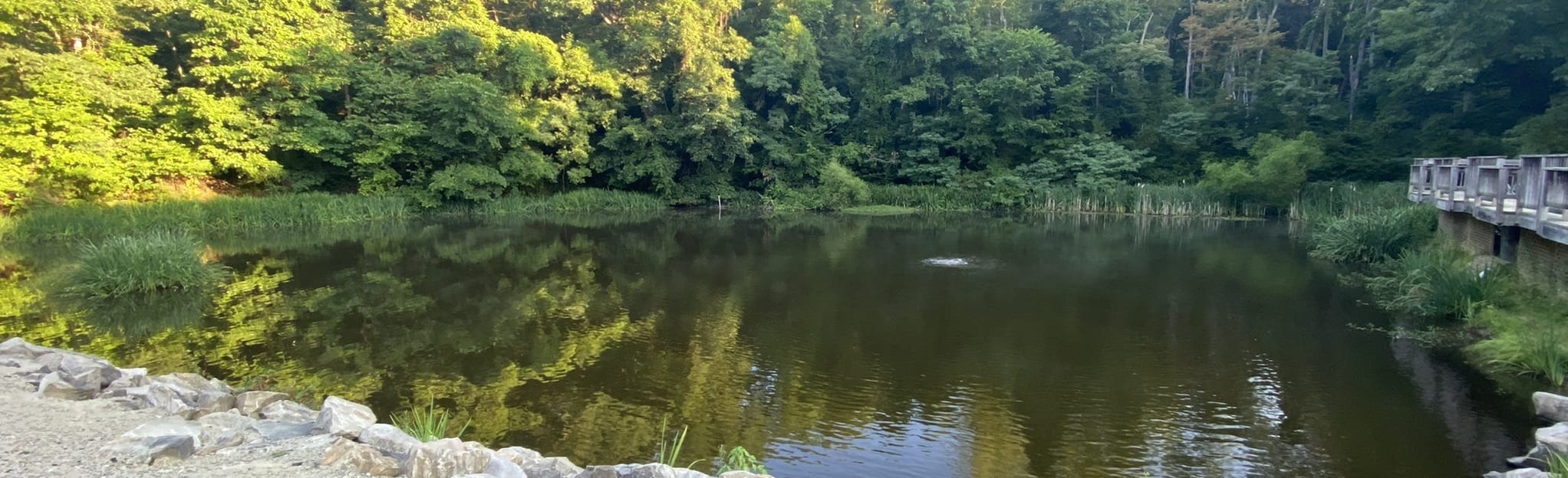 Townsend Park Loop, Pennsylvania - 86 Reviews, Map | AllTrails