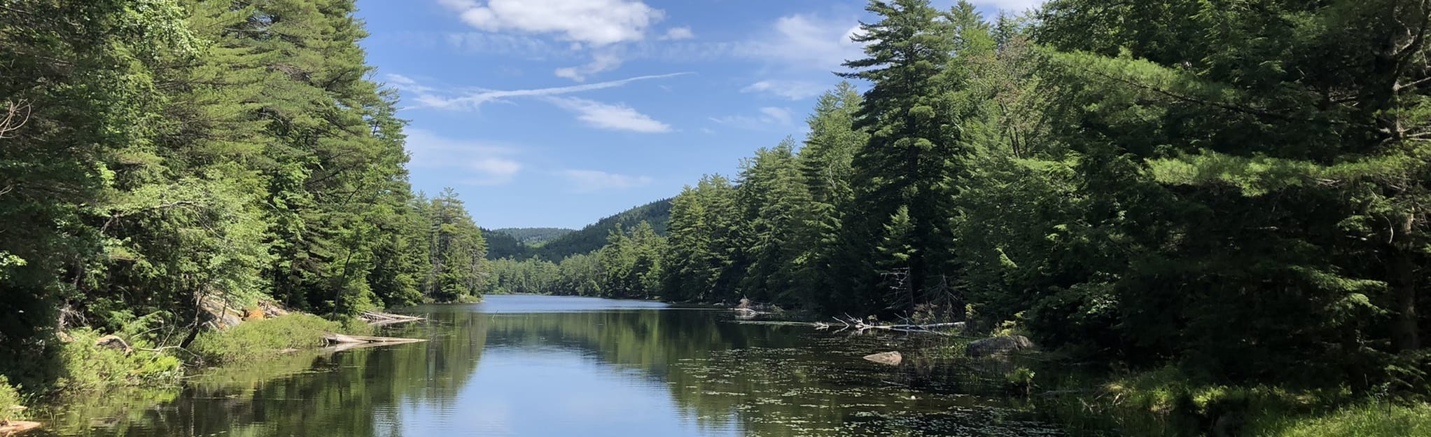 Pharaoh Lake Loop: 60 Reviews, Map - New York | AllTrails