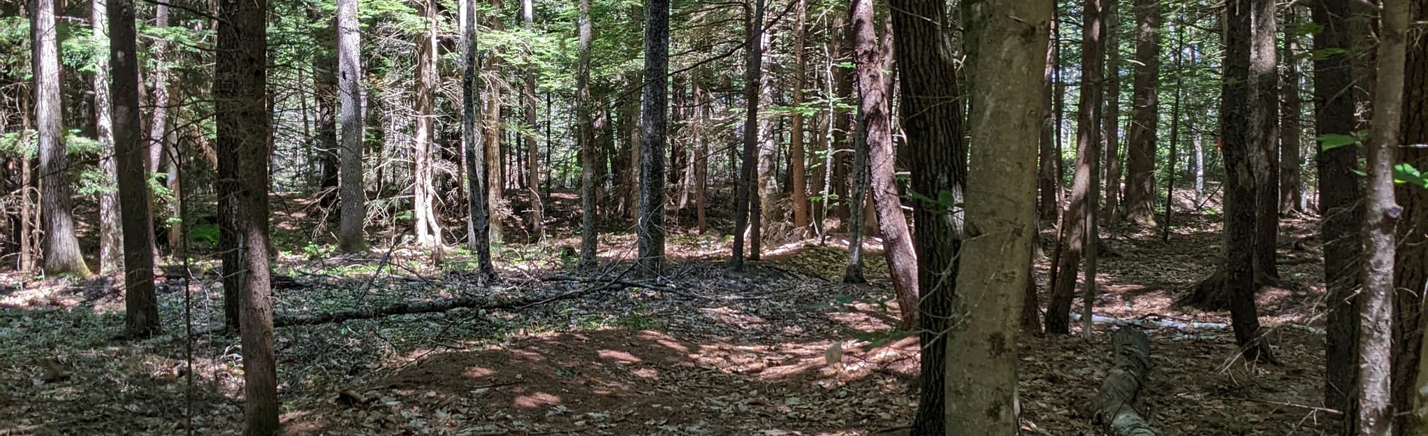 Waterville to Baldwinville via Ware River Rail Trail, Massachusetts - 5 ...