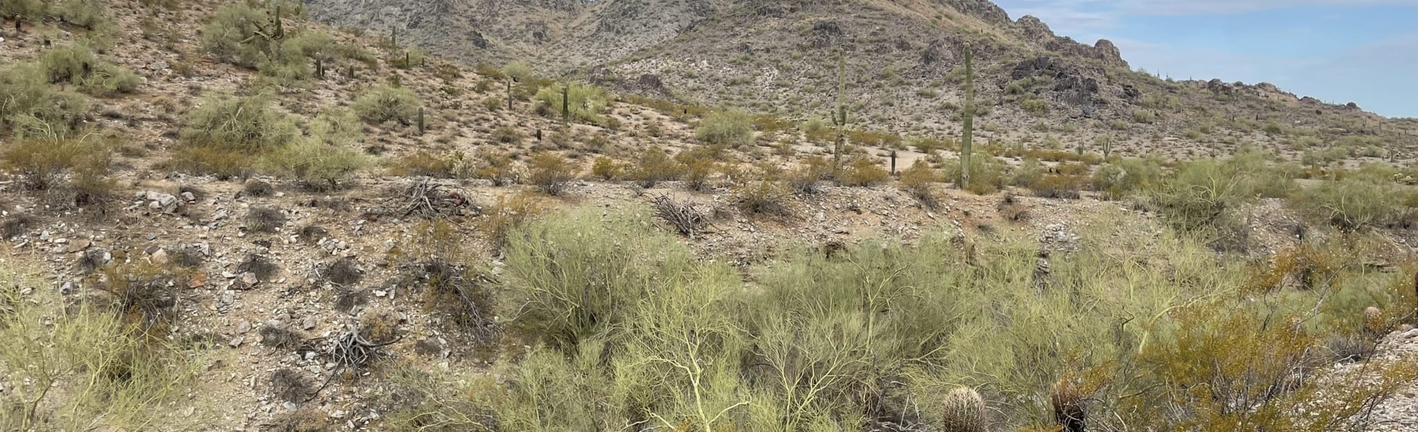 Quartz Ridge Trail Loop, Arizona - 423 Reviews, Map | AllTrails