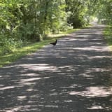 Prairie Duneland Trail, Indiana - 354 Reviews, Map | AllTrails