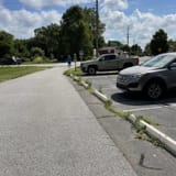 Prairie Duneland Trail, Indiana - 453 Reviews, Map | AllTrails