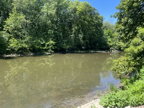 2023 Best Forest Trails in Minooka | AllTrails