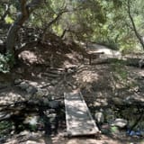 Conejo Valley Botanic Garden, California - 317 Reviews, Map | AllTrails