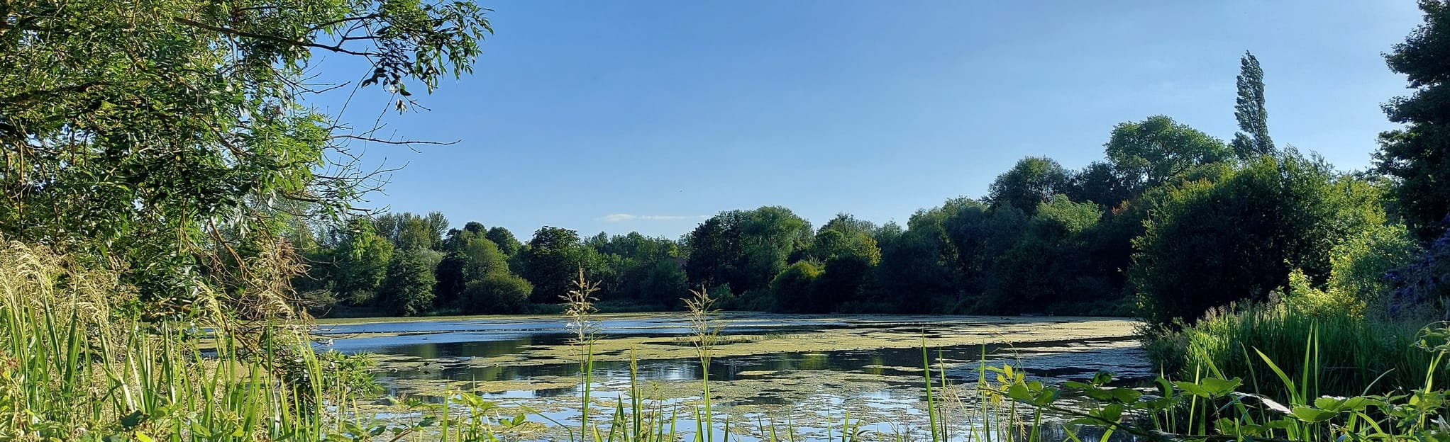 River Anton Circular, Hampshire, England - 39 Reviews, Map | AllTrails