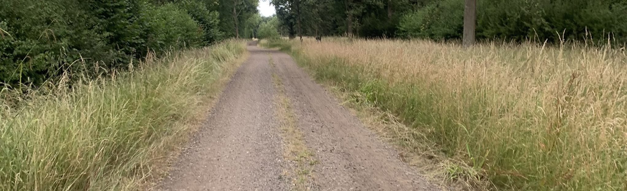 Old Warden Tunnel Circular, Bedfordshire, England - 6 Reviews, Map ...