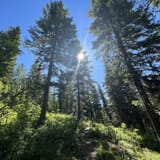 Cyclone Lookout Trail , Montana - 169 Reviews, Map | AllTrails