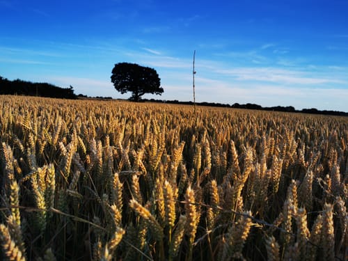 Best Hikes and Trails in Culcheth Linear Park | AllTrails