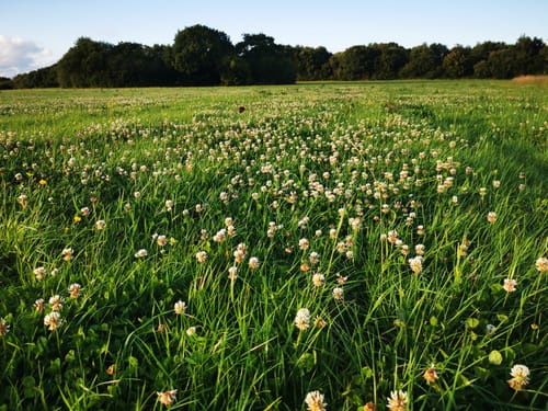 Best Hikes and Trails in Culcheth Linear Park | AllTrails
