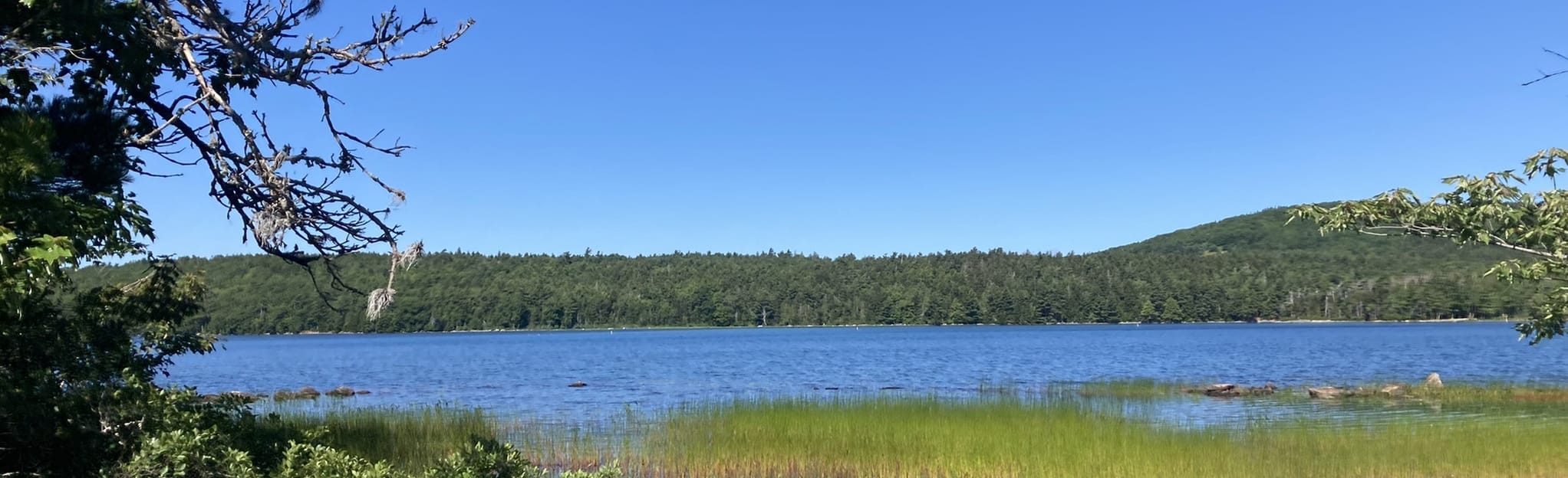 Witch Hole Pond, Eagle Lake and Around Mountain Carriage Road: 3.365 ...