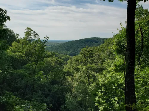 Best Waterfall Trails in Walhalla | AllTrails