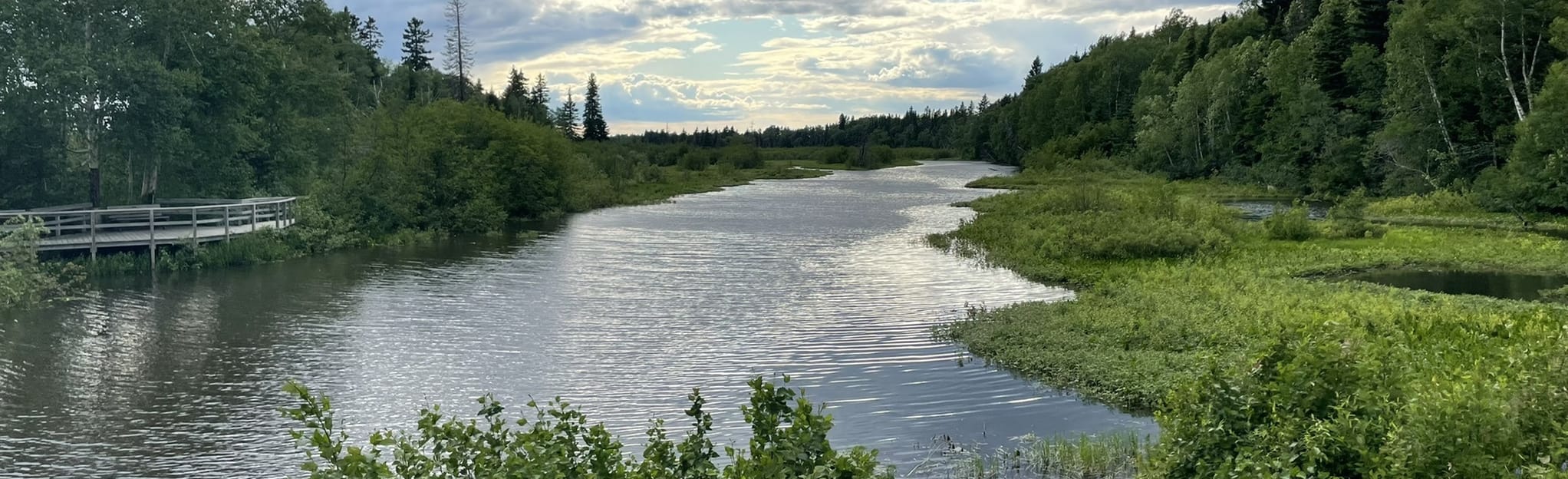 Birch Island Boardwalk, Newfoundland and Labrador, Canada - 24 Reviews ...