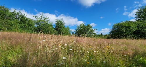 2023 Best 10 Trails and Hikes in Kent | AllTrails