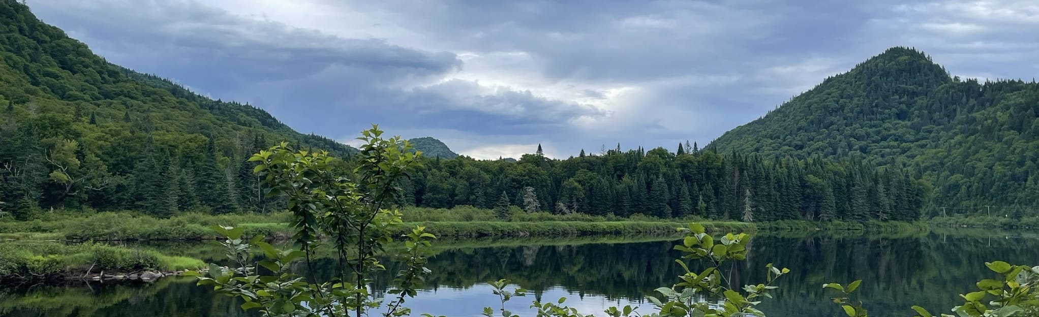 Tourbière Loop: 74 Reviews, Map - Quebec, Canada | AllTrails