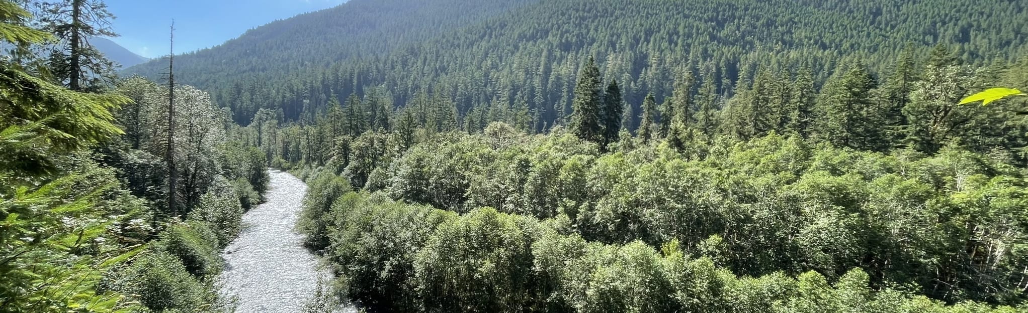 Dosweallips Road to Constance Pass Trail, Washington - 24 Reviews, Map ...