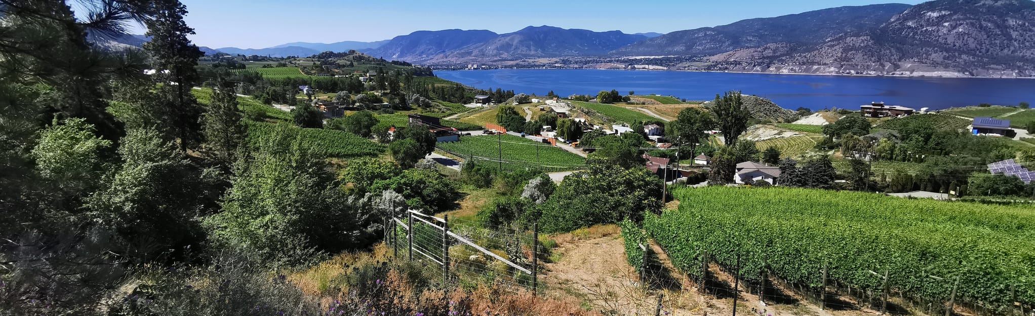 Rusty Muffler, Freds and Roller Coaster: 1 Reviews, Map - British ...