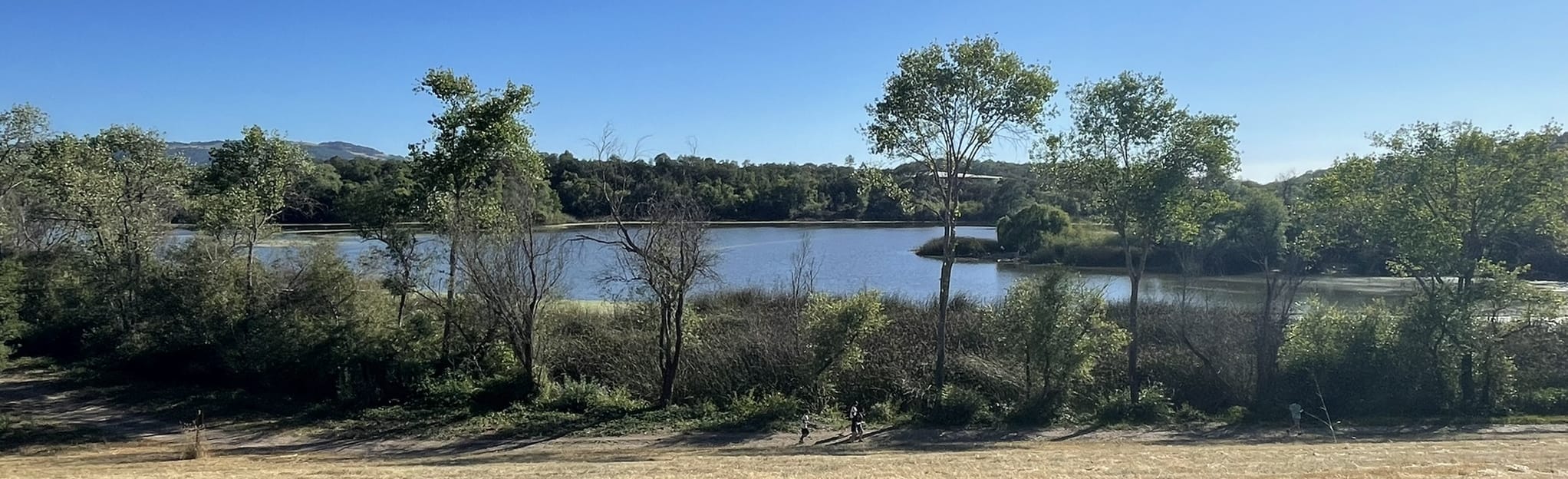 Lake Ralphine and Spring Lake Loop: 1113 Reviews, Map - California ...