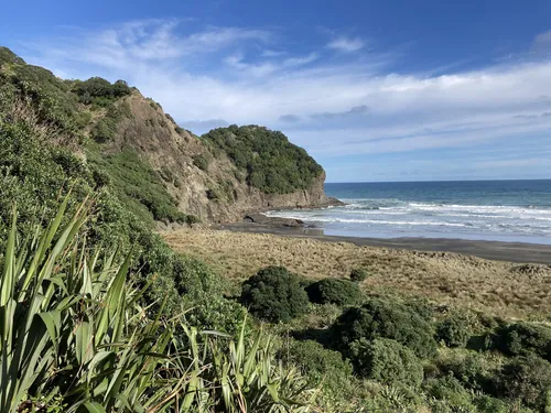 10 Best Trails and Hikes in Piha | AllTrails