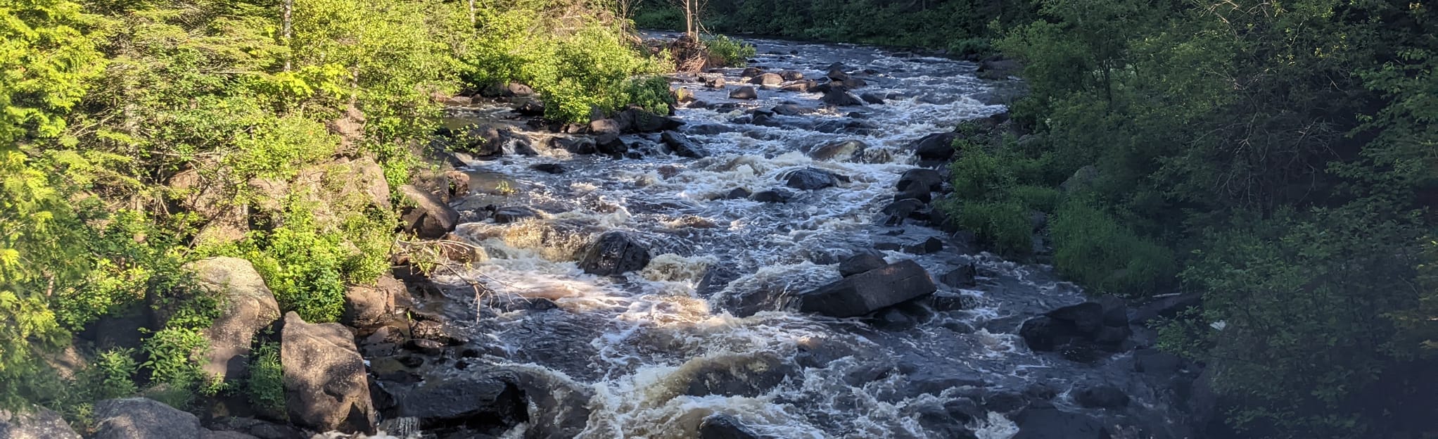 Mystery Loop Trail: 18 Reviews, Map - Minnesota | AllTrails